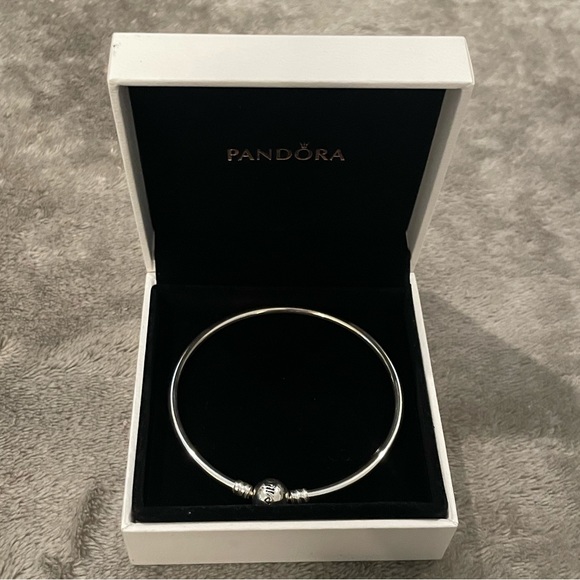 Pandora | Jewelry | Pandora Bangle One In A Million | Poshmark